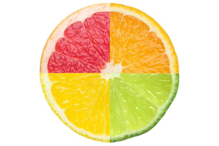 Developing Future Fit Supplier Segmentation Methods Procurement Leaders